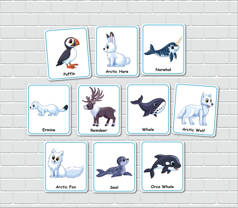 Arctic Animals Flashcards, Printable Cards for Kids, Preschool ...