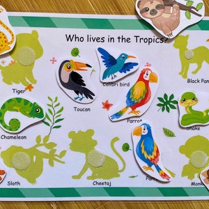 Animals of the World Busy Book Pages for Kids. Toddler Learning Binder ...