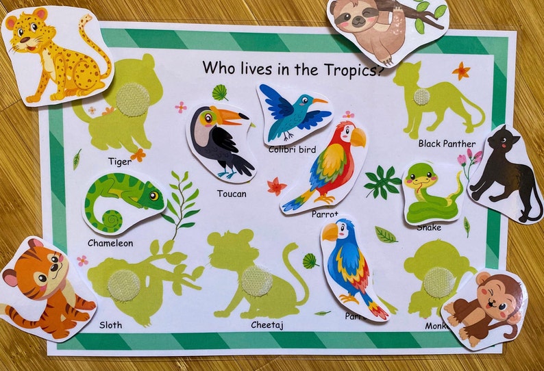 Animals of the World Busy Book Pages for Kids. Toddler Learning Binder ...