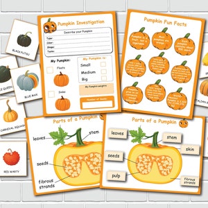Pumpkin Unit Study, Life Cycle of a Pumpkin, Pumpkin Varieties, Fall ...