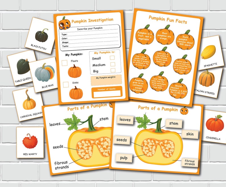 Pumpkin Unit Study, Life Cycle of a Pumpkin, Pumpkin Varieties, Fall ...