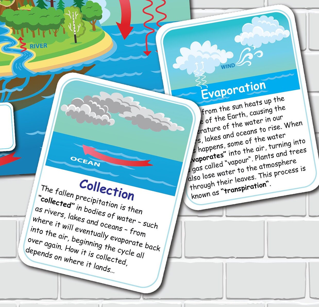 Water Cycle Printable Activity Kids Nature Study Kindergarten - Etsy