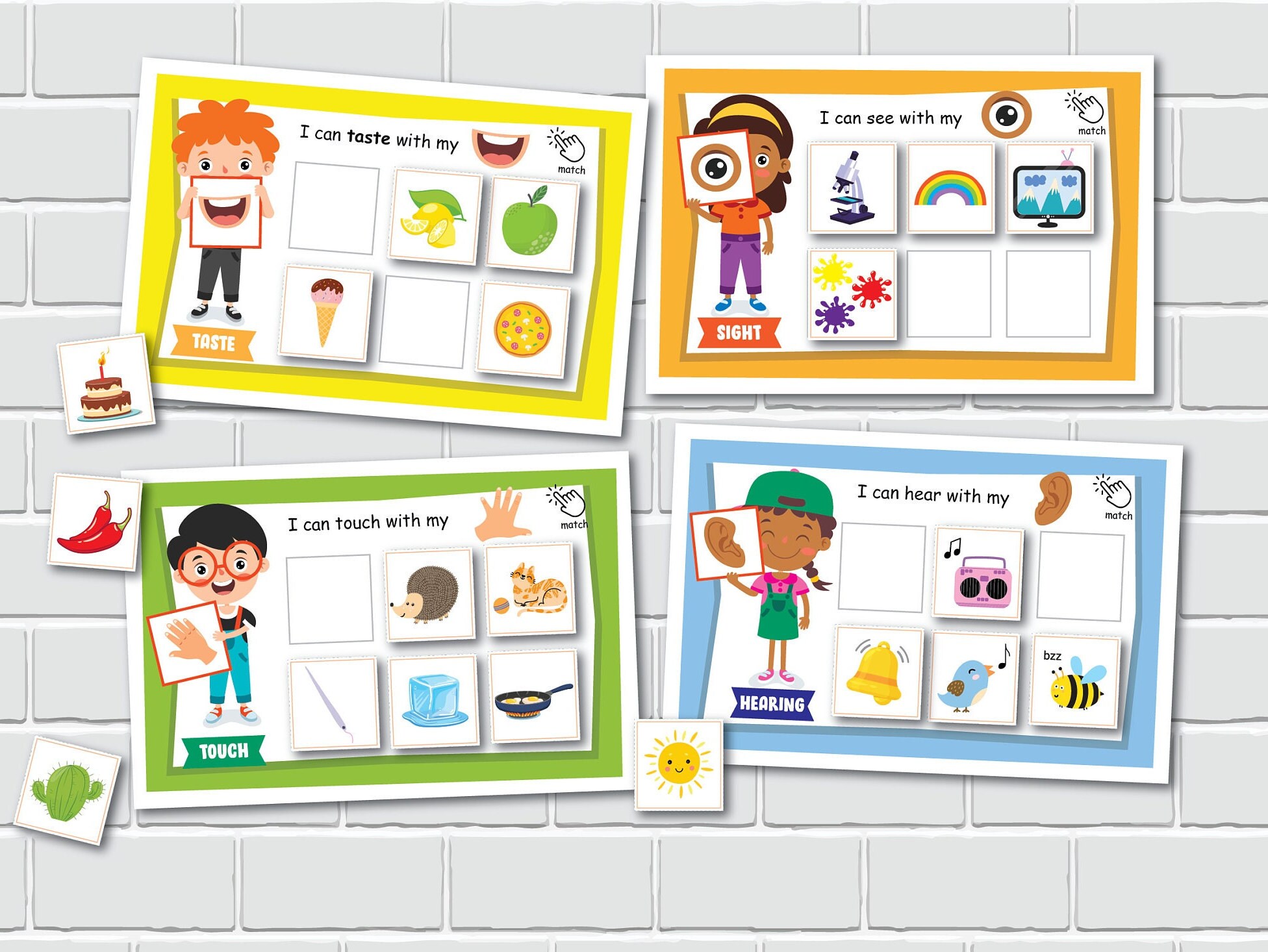 Five Senses Sorting Mats Printable Activity 5 Senses - Etsy Australia