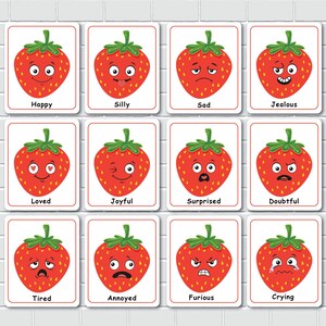 Emotions and Feelings Matching Game, Summer Activity for Kids, Autism ...