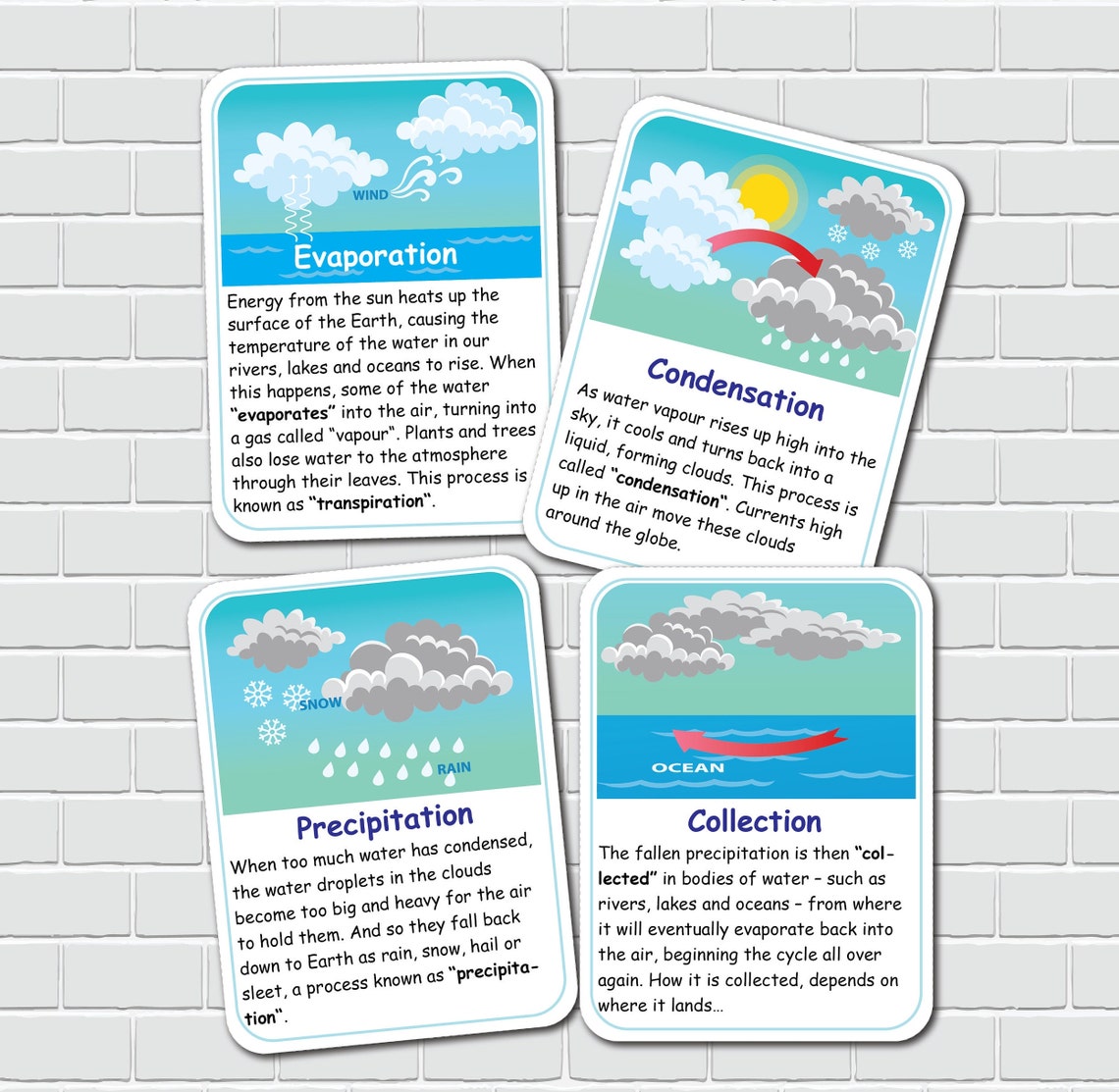 Water Cycle Printable Activity Kids Nature Study Kindergarten - Etsy