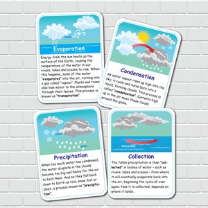 Water Cycle Printable Activity Kids Nature Study Kindergarten File ...
