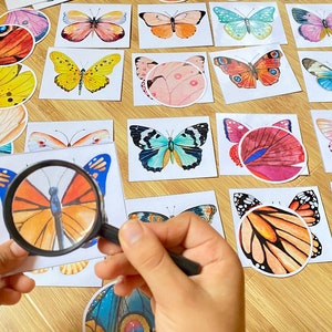 Butterfly Pattern Matching Cards, Montessori Materials, Preschool ...