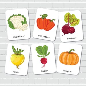 Vegetables Three Part Cards, Montessori Flashcards, Homeschool ...