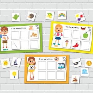 Five Senses Sorting Mats, Printable Activity, 5 Senses Sorting ...