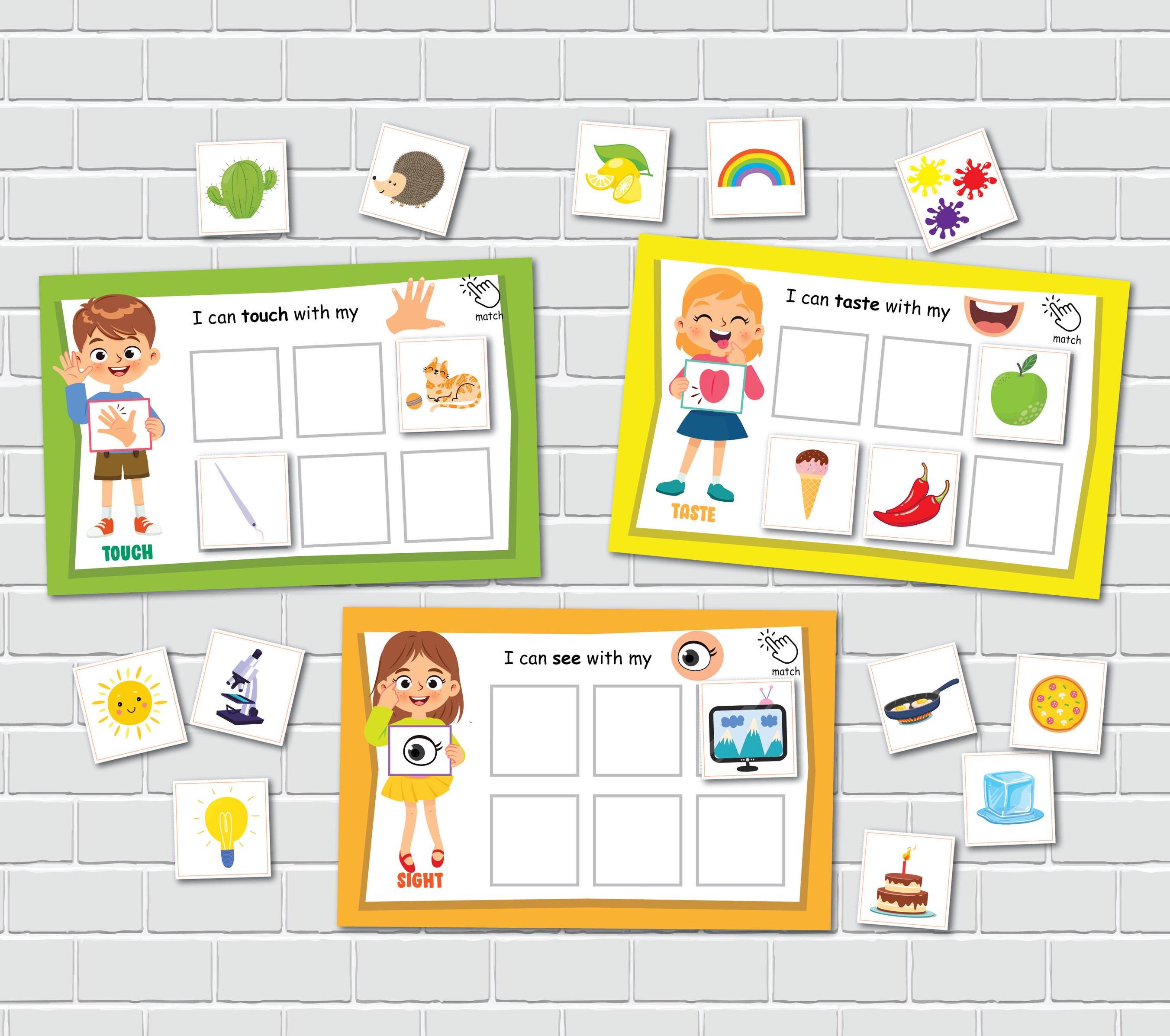 Five Senses Sorting Mats, Printable Activity, 5 Senses Sorting ...