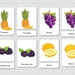 Fruits Three Part Cards Montessori Flashcards Homeschool - Etsy