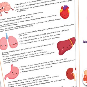 Body Systems Activity Human Anatomy Worksheets Preschool Busy Book ...