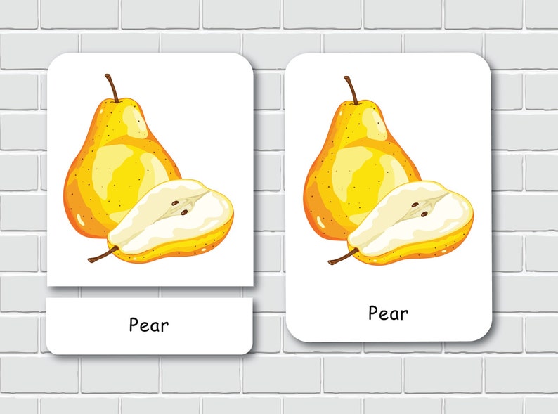 Fruits Three Part Cards Montessori Flashcards Homeschool - Etsy