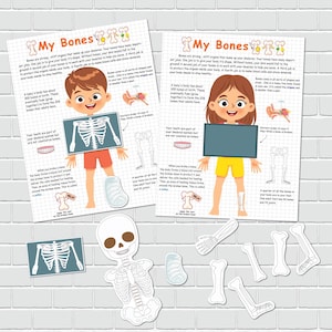 Human Skeleton Anatomy Activity, Printable Skeletal System, Bone ...