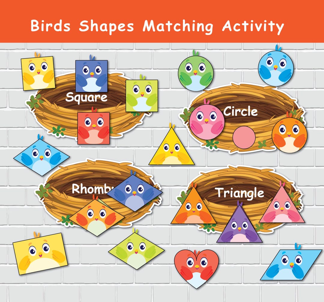 Birds Shapes Sorting Activity, 2D Shapes Center, Summer Busy Book Page ...