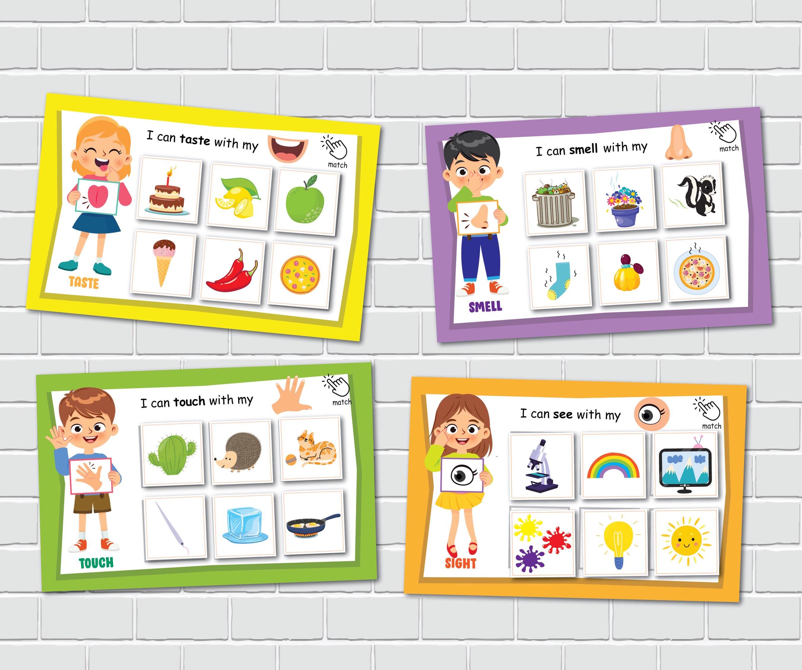 Five Senses Sorting Mats, Printable Activity, 5 Senses Sorting ...