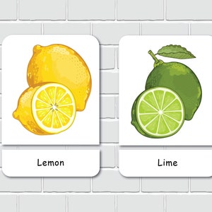 Fruits Three Part Cards, Montessori Flashcards, Homeschool Curriculum ...