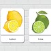 Fruits Three Part Cards Montessori Flashcards Homeschool - Etsy