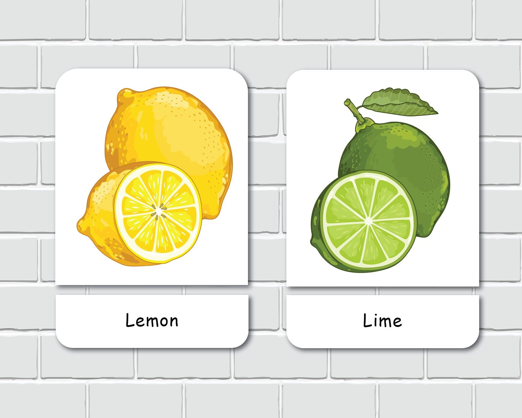 Fruits Three Part Cards Montessori Flashcards Homeschool - Etsy