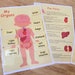 Human Anatomy Printable Activity, Homeschool Resource, Montessori ...