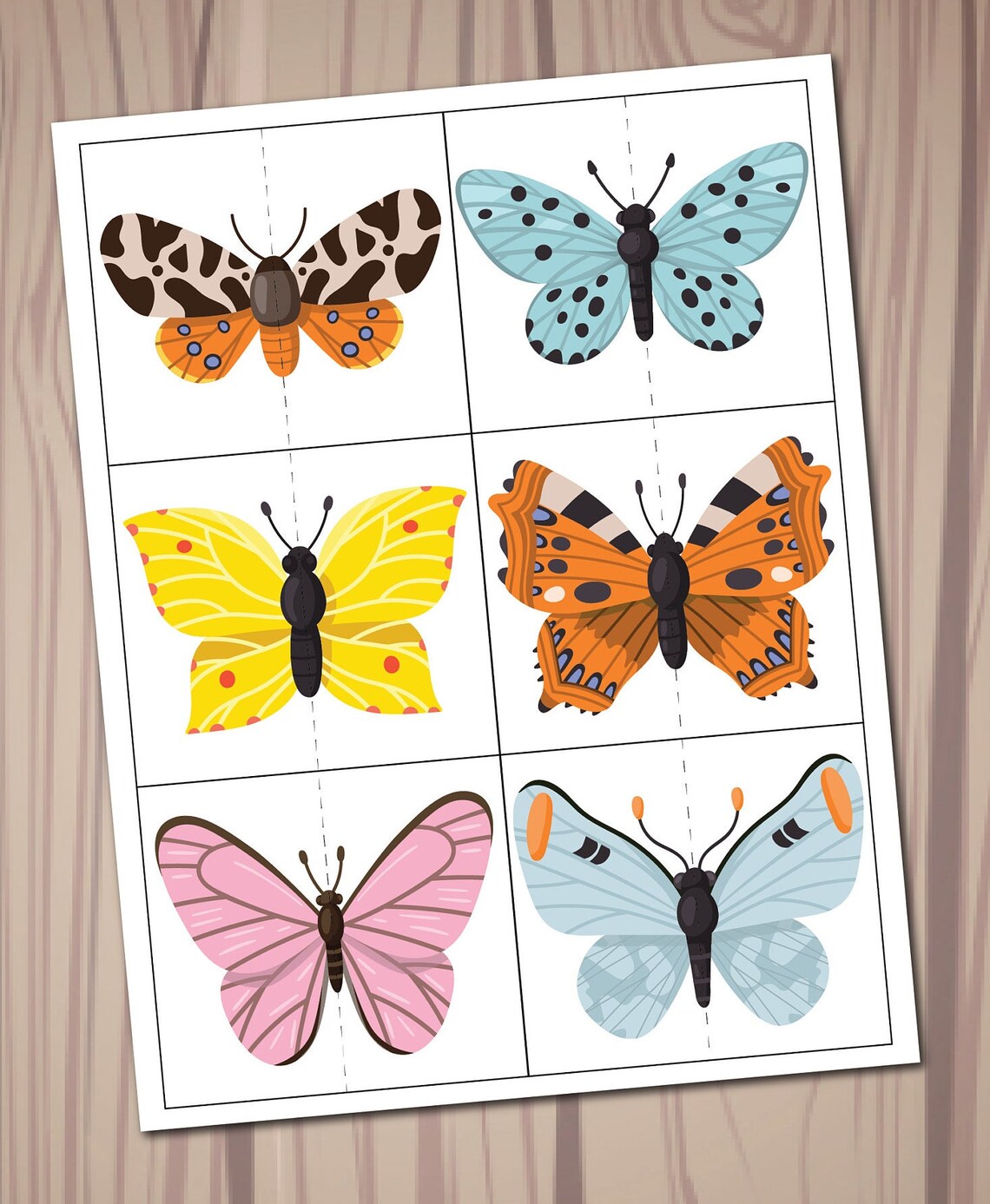 Cartes de symétrie papillon, activité d'espionnage, printemps ...