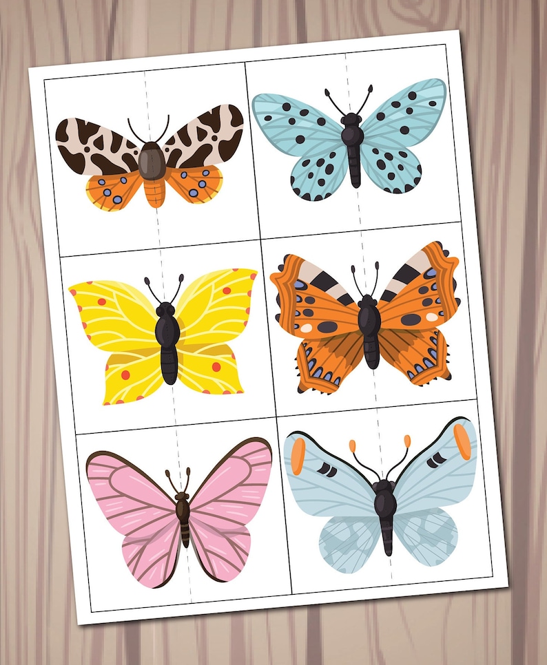 Butterfly Symmetry Cards I Spy Activity Spring Printable - Etsy