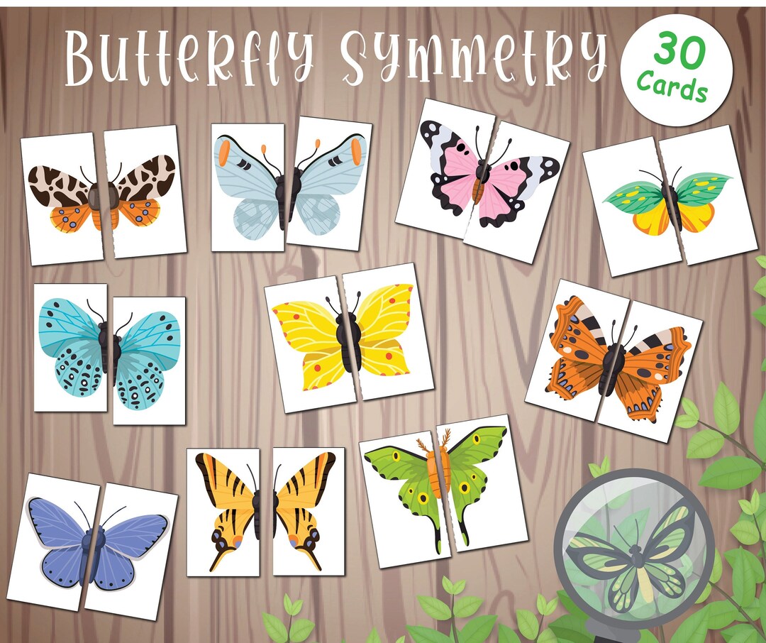 Butterfly Symmetry Cards, I Spy Activity, Spring Printable, Preschool ...