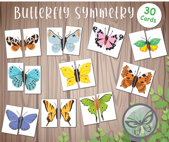 Butterfly Symmetry Cards I Spy Activity Spring Printable - Etsy