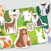 Animals Matching Activity Preschool Worksheets Toddler Busy - Etsy