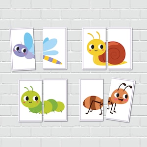 Bugs Matching Game, Symmetry Cards, Toddler Matching Activity ...