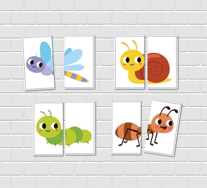 Bugs Matching Game, Symmetry Cards, Toddler Matching Activity ...