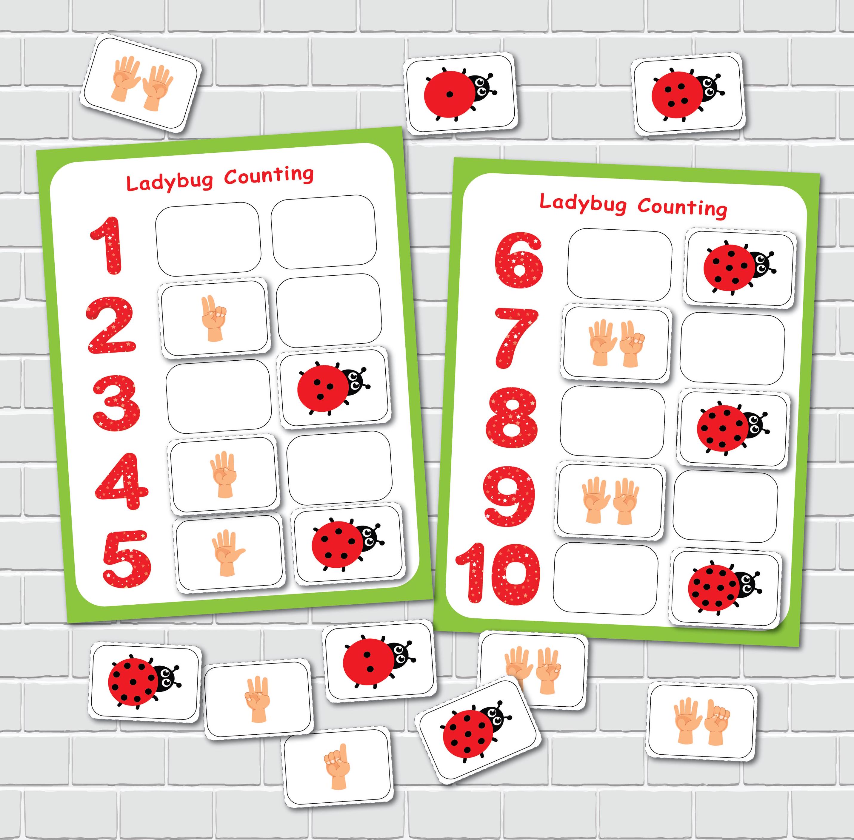 Ladybug Count and Match Activities, Preschool Math,toddler Busy Book ...