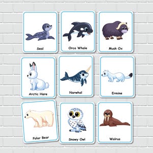 Arctic Animals Flashcards, Printable Cards for Kids, Preschool ...