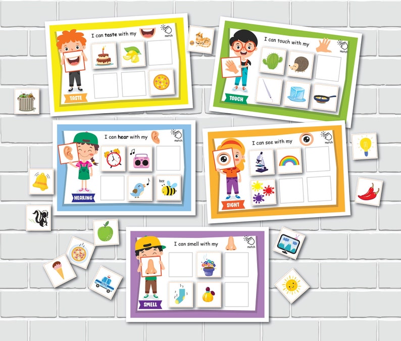 Five Senses Sorting Mats Printable Activity 5 Senses - Etsy