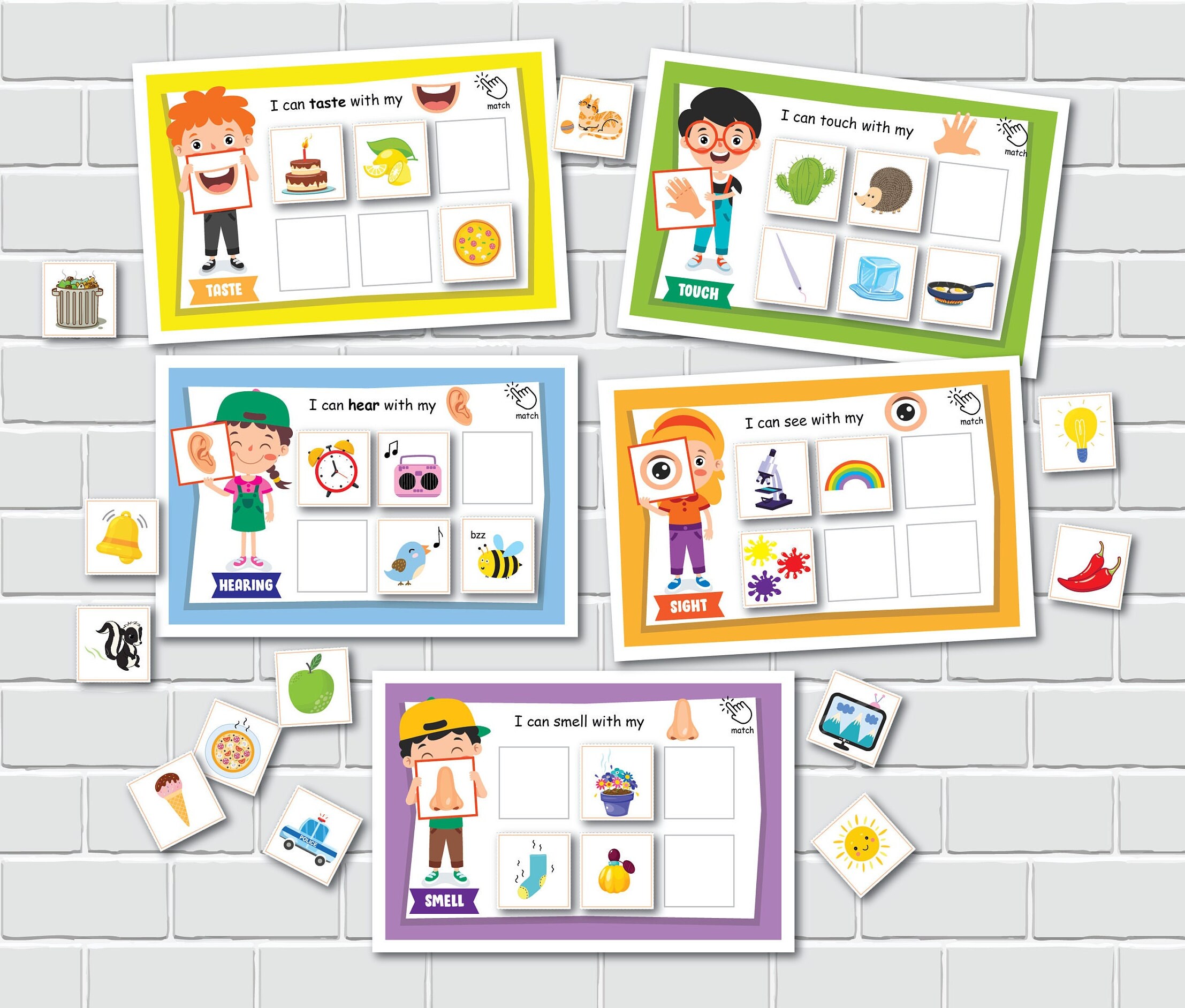 Five Senses Sorting Mats Printable Activity 5 Senses - Etsy Australia