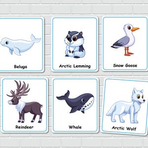Arctic Animals Flashcards, Printable Cards for Kids, Preschool ...