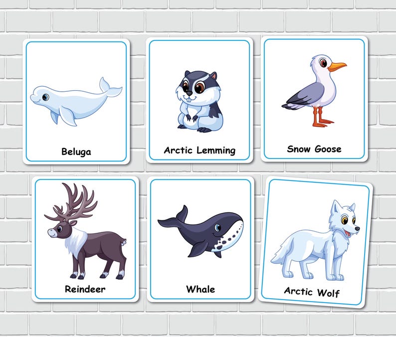 Arctic Animals Flashcards, Printable Cards for Kids, Preschool ...
