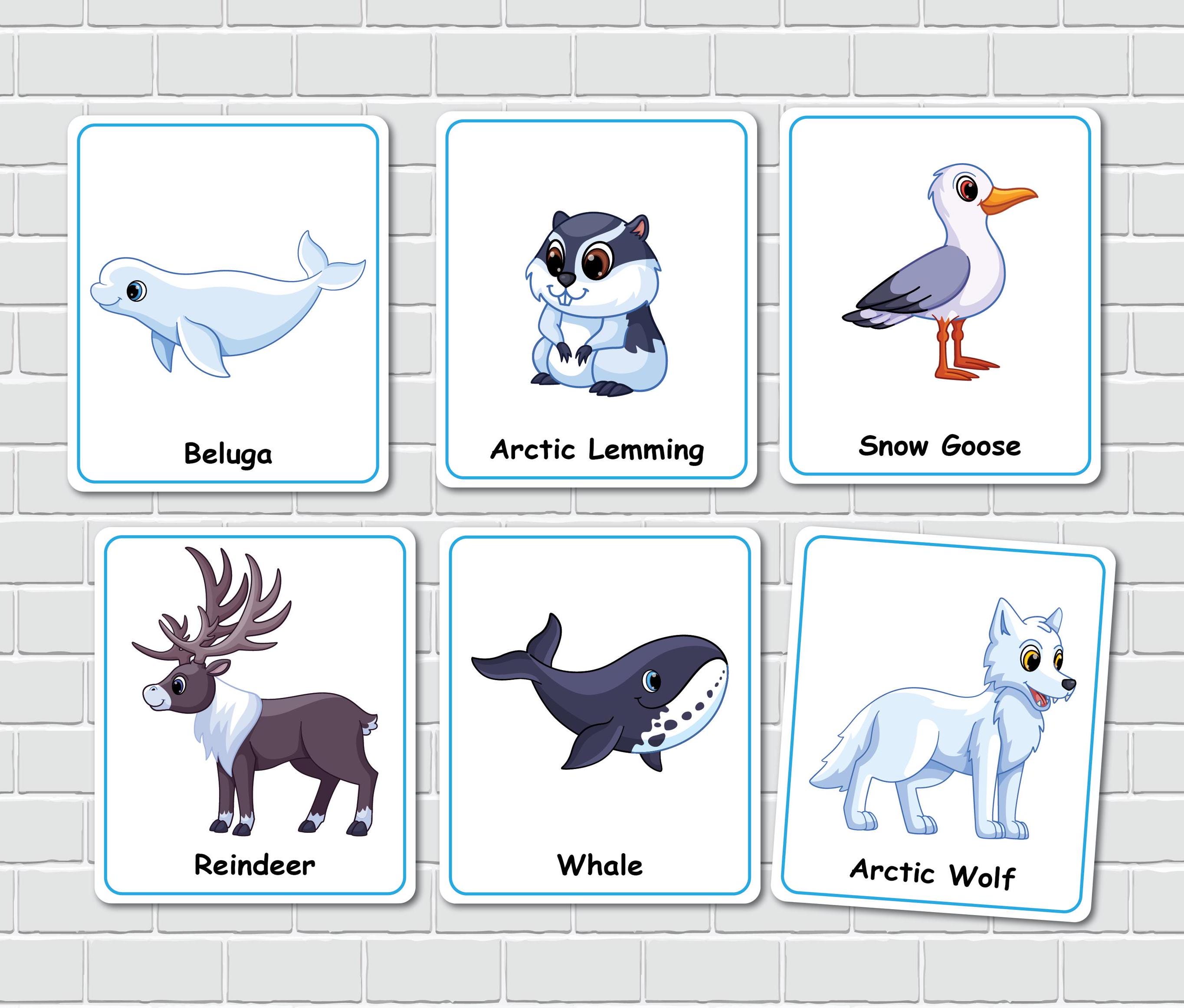Arctic Animals Flashcards, Printable Cards for Kids, Preschool ...