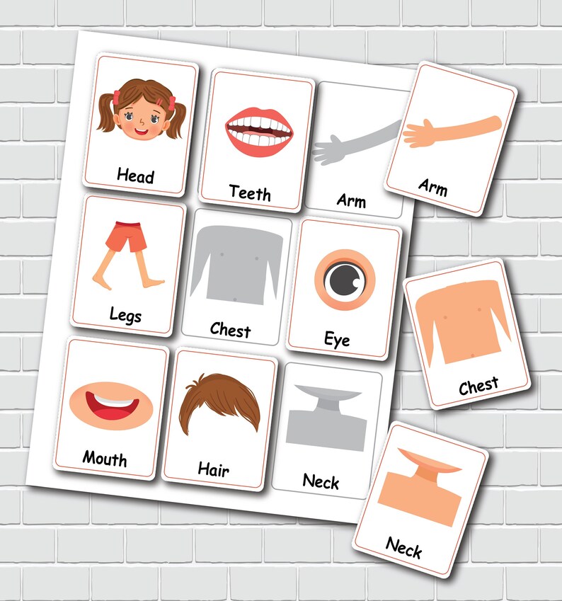 Body Parts Printable Activities Anatomy Busy Book Pages - Etsy