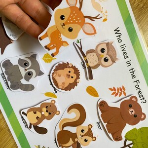 Animals of the World Busy Book Pages for Kids. Toddler Learning Binder ...