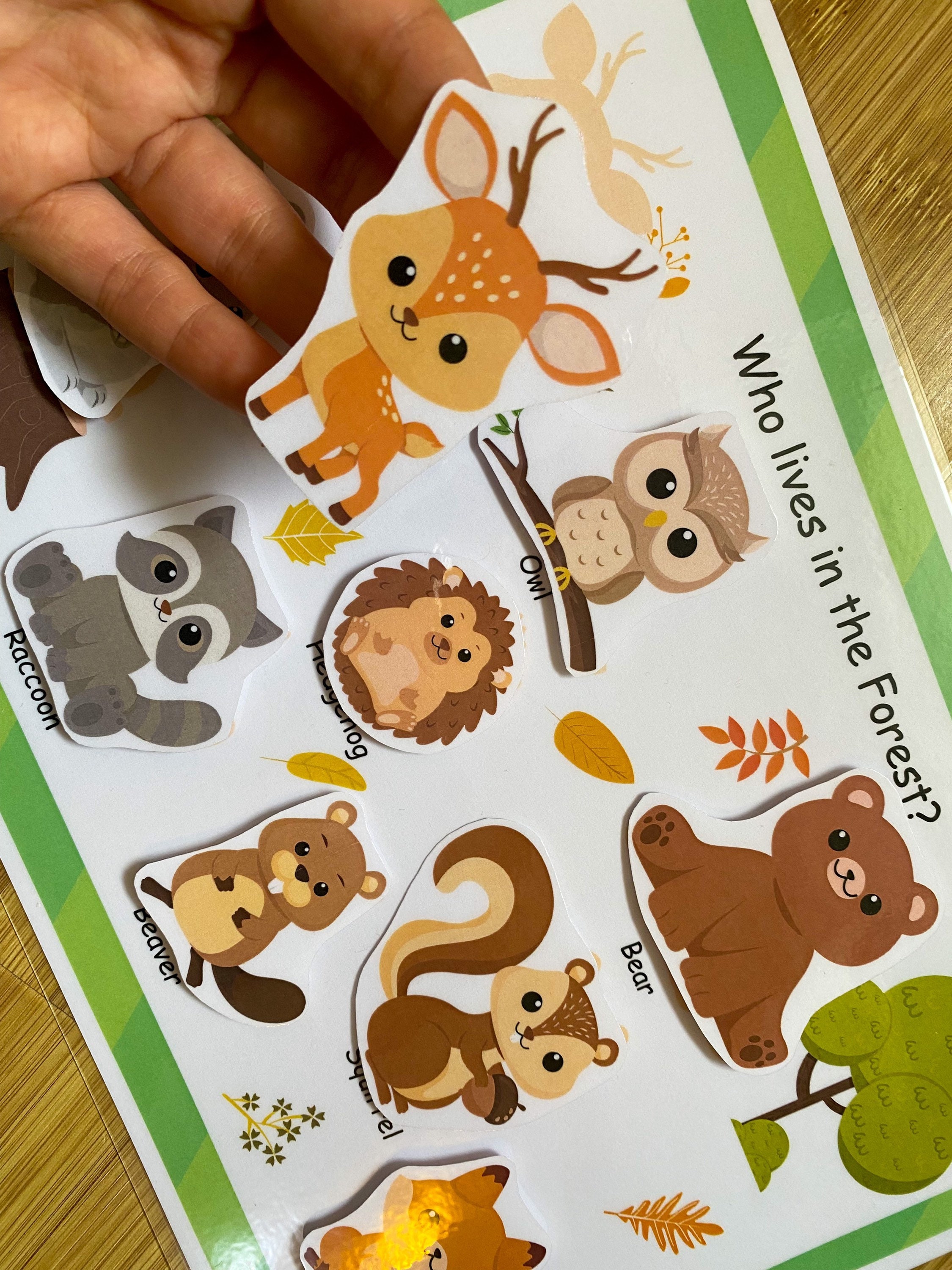 Animals of the World Busy Book Pages for Kids. Toddler - Etsy