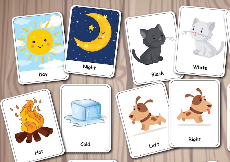 Opposites Matching Flashcards Printable Activity Pairing - Etsy