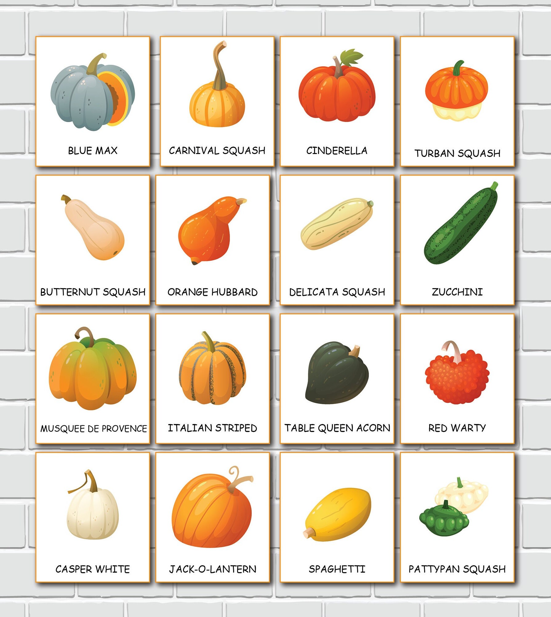 Pumpkin Unit Study, Life Cycle of a Pumpkin, Pumpkin Varieties, Fall ...