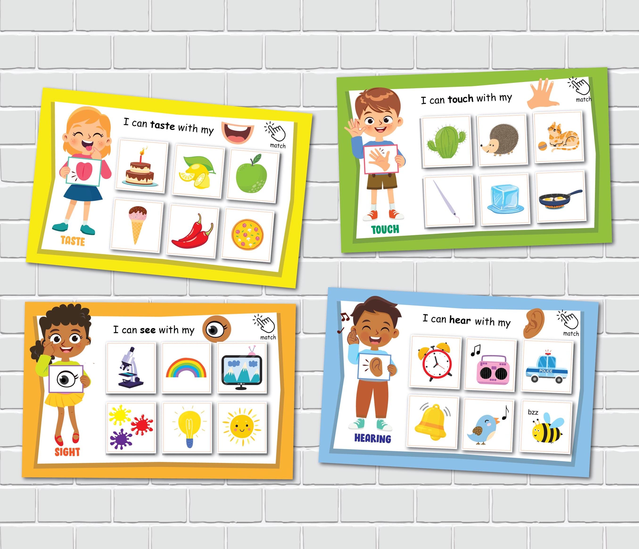 Five Senses Sorting Mats, Printable Activity, 5 Senses Sorting ...