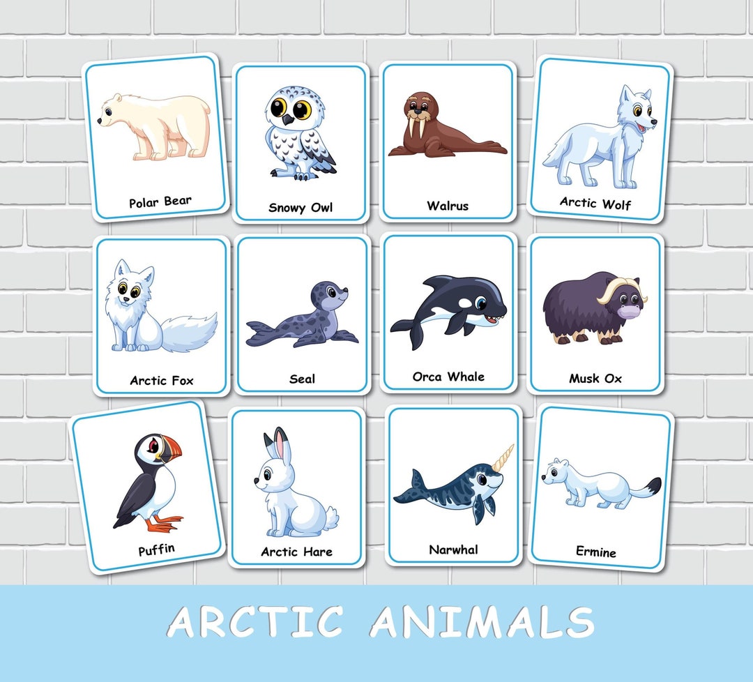 Arctic Animals Flashcards, Printable Cards for Kids, Preschool ...