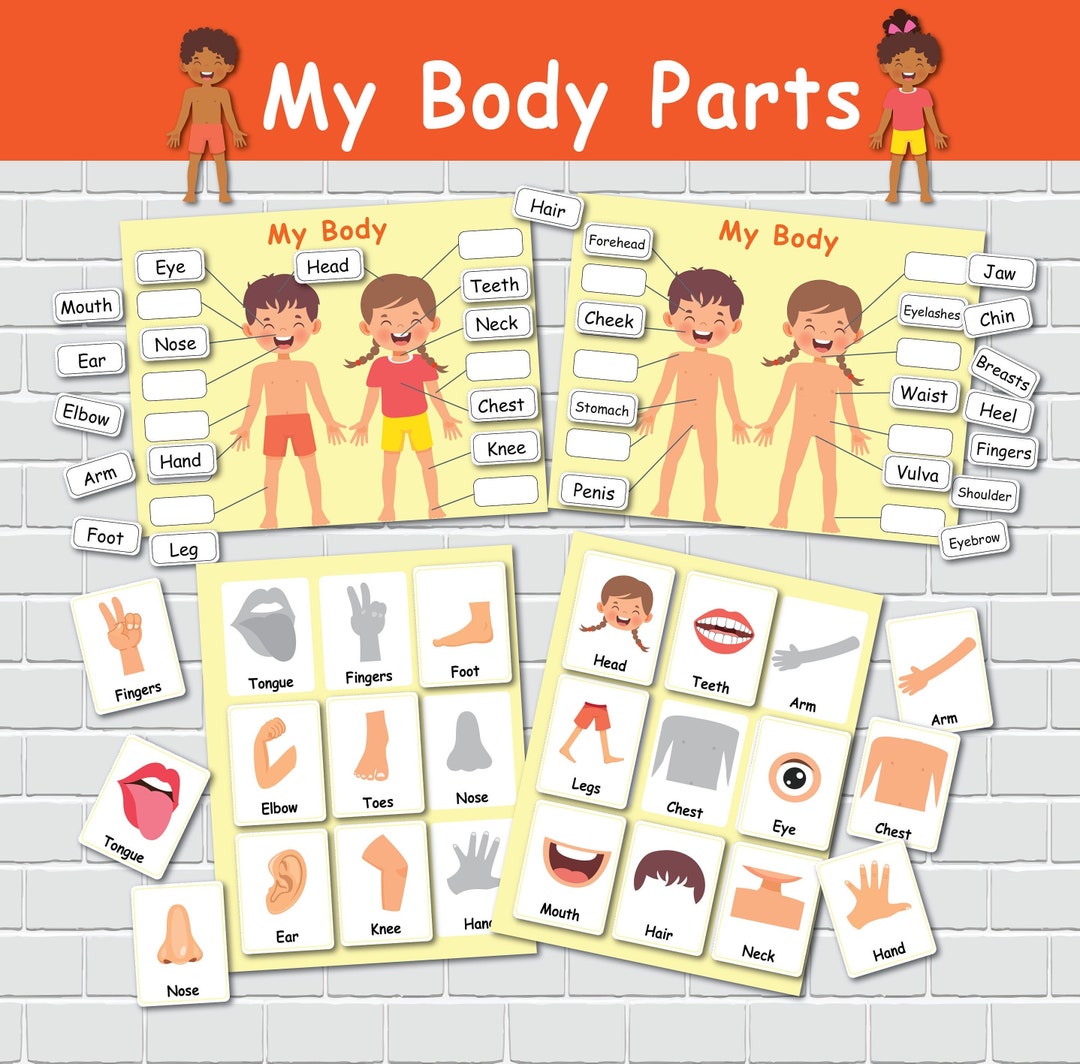 Body Parts Printable Activities Anatomy Busy Book Pages Etsy Body Parts Printable Activities Anatomy Busy Book Pages Etsy