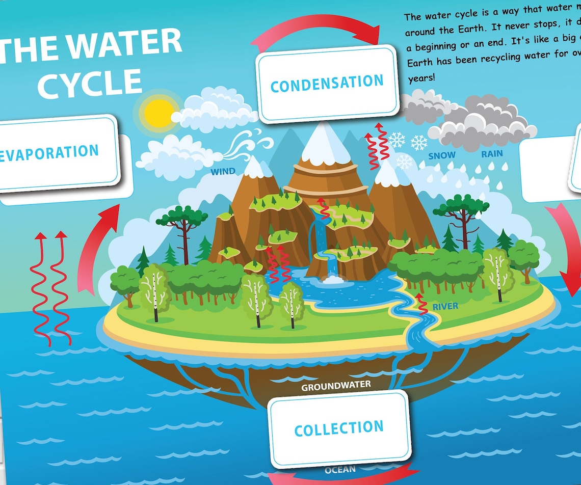 Water Cycle Printable Activity Kids Nature Study Kindergarten File ...