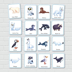 Arctic Animals Flashcards, Printable Cards for Kids, Preschool ...