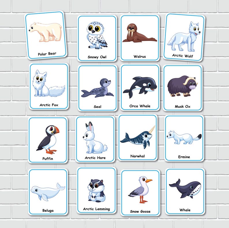 Arctic Animals Flashcards, Printable Cards for Kids, Preschool ...