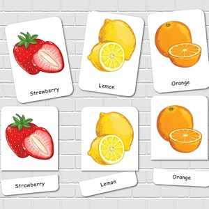Fruits Three Part Cards, Montessori Flashcards, Homeschool Curriculum ...